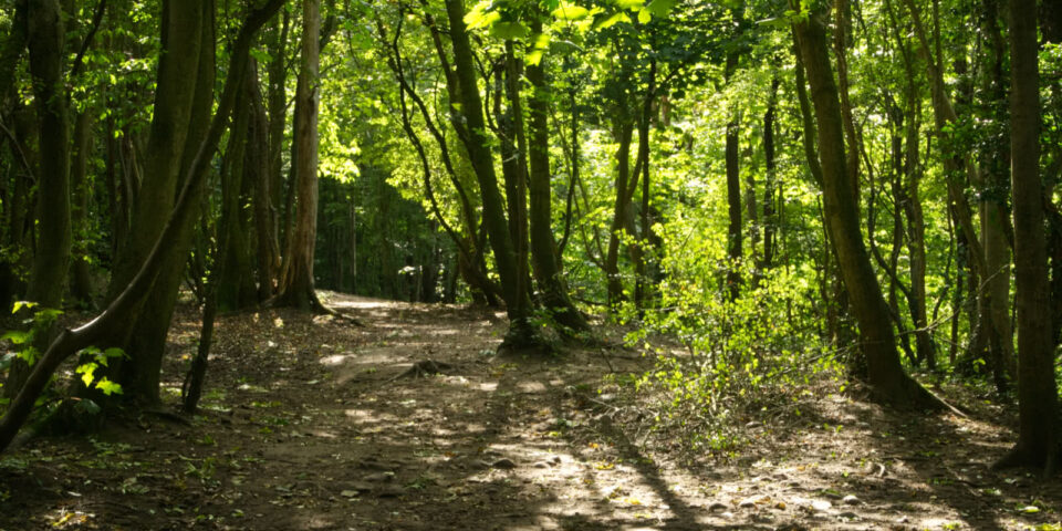 Friends of Hell Wath Ripon North Yorkshire